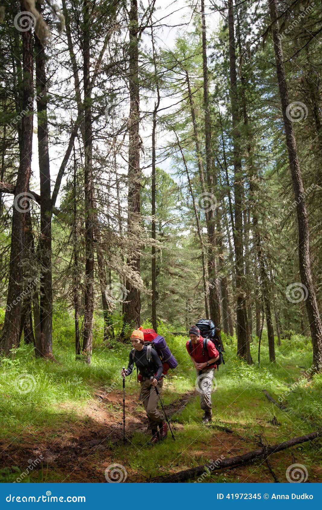 Hikers in Altai mountains stock image. Image of russia - 41972345