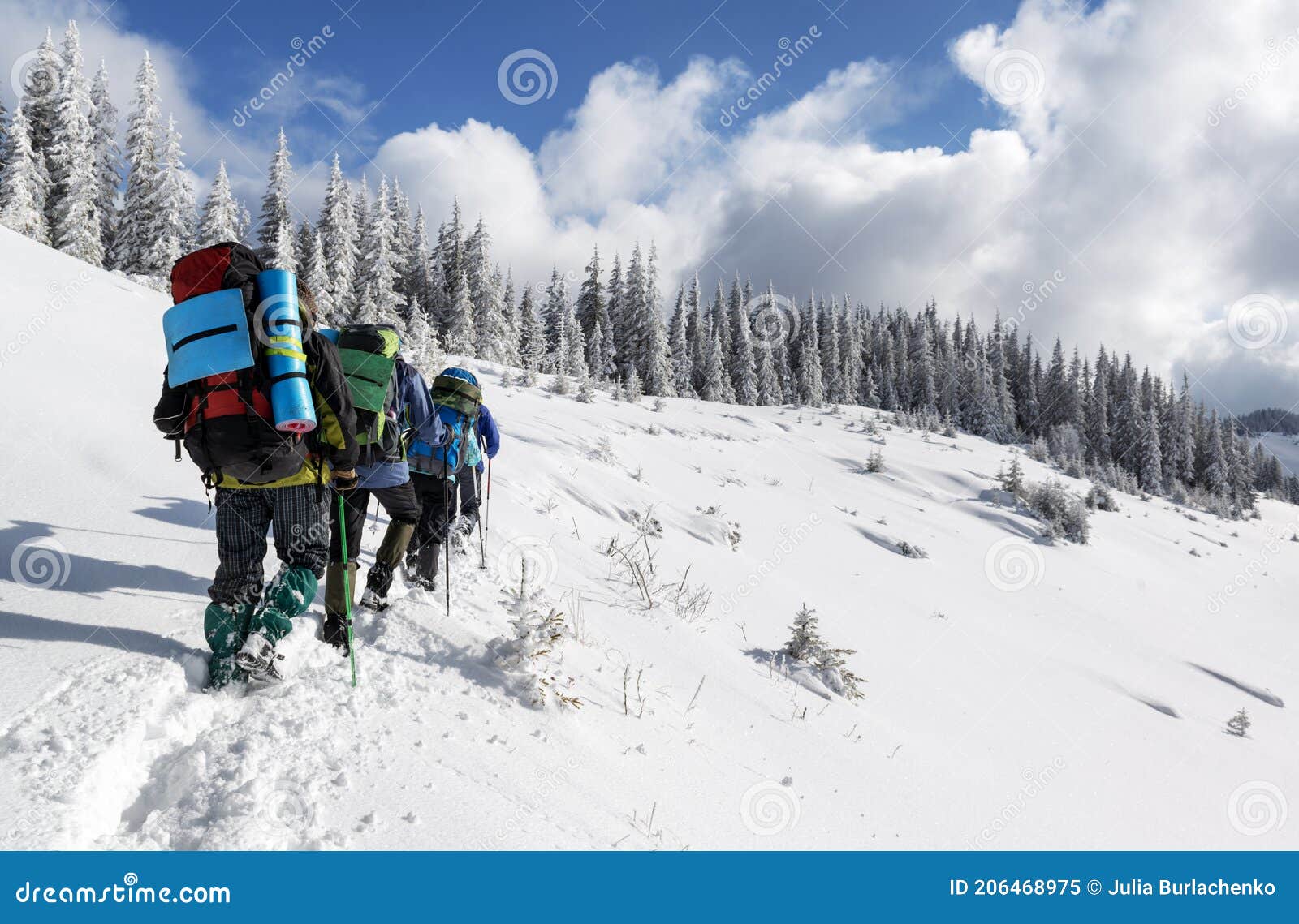 Hikers with Backpacks in the Winter Mountains Stock Image - Image of ...