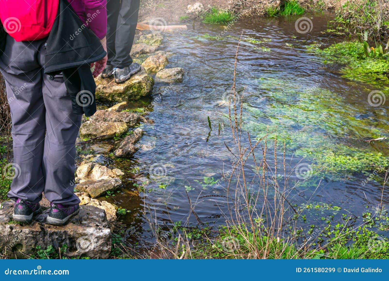 Hikers Crossing a River on Stones Stock Image - Image of forest ...