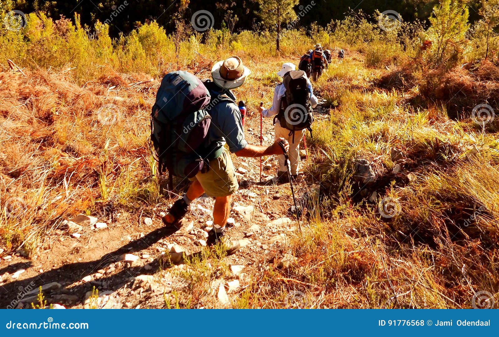 Hikers in the Early Morning Sun Stock Photo - Image of early, valley ...