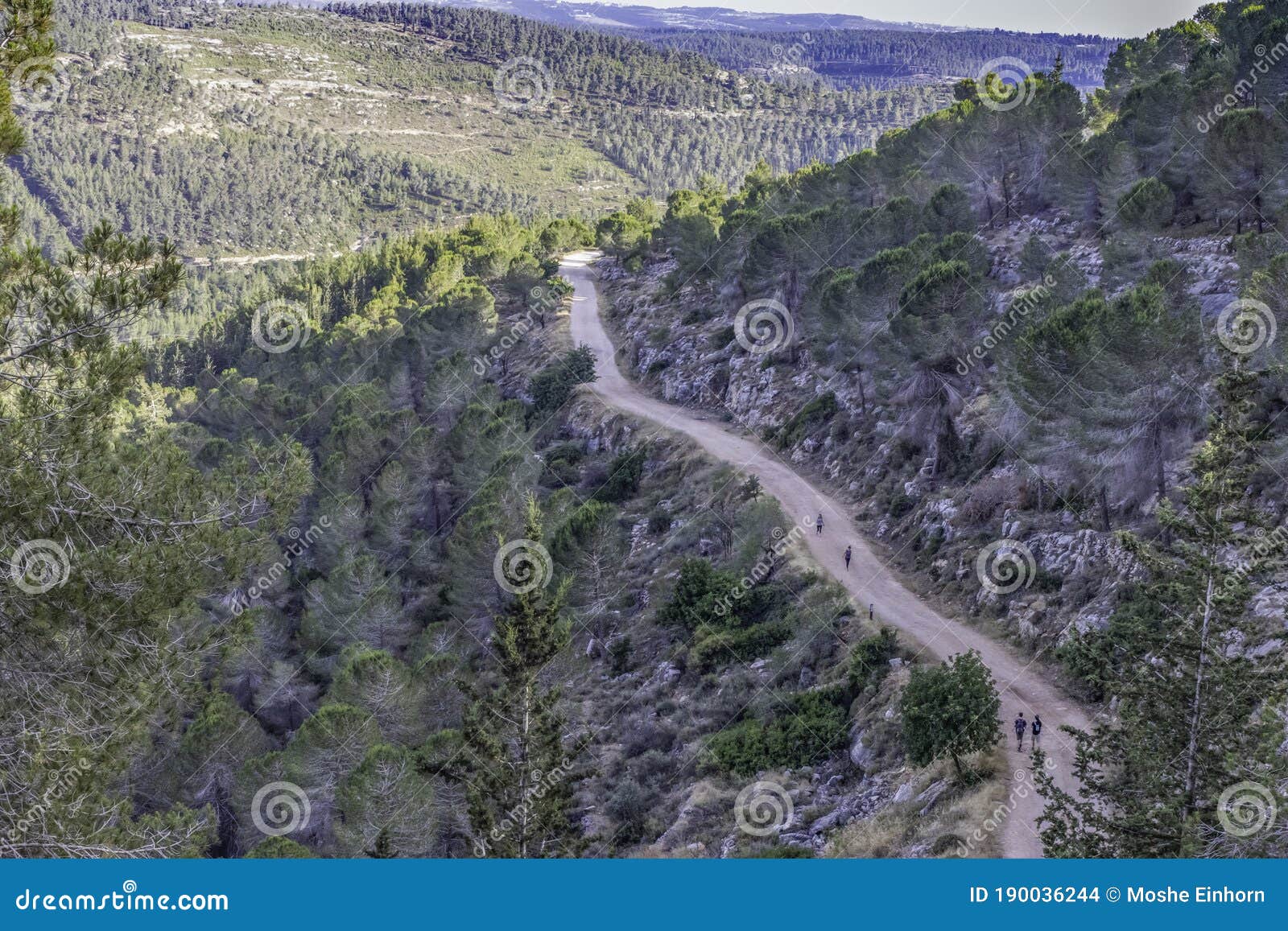 Hikers on a Forest Path in the Judea Mountains Near Jerusalem, Israel ...