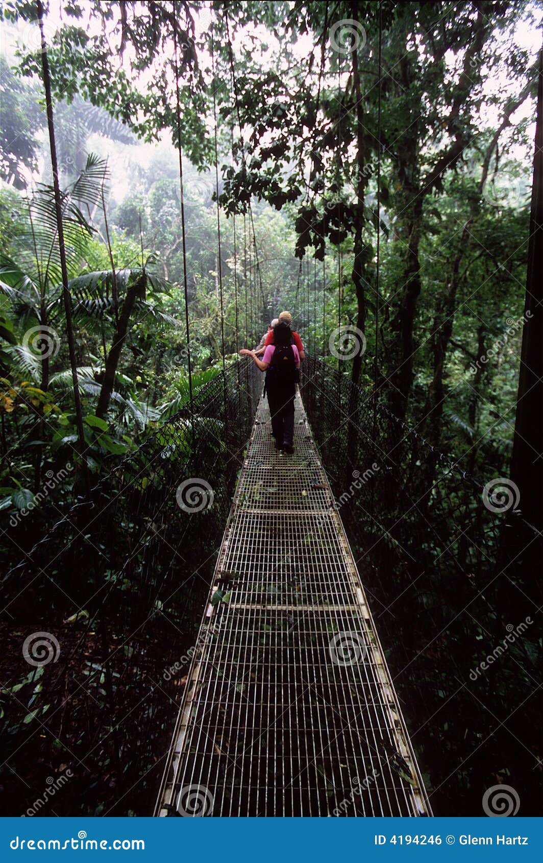 Hikers on hanging bridge stock photo. Image of hiking - 4194246