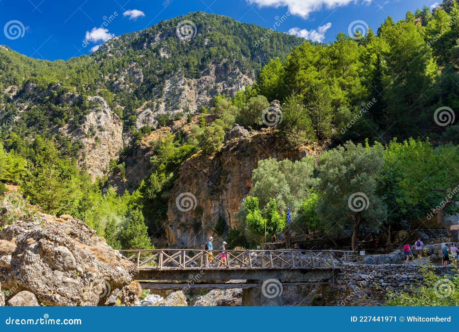 Hikers in a Huge Natural Gorge with Towering Cliffs and Pine Trees ...