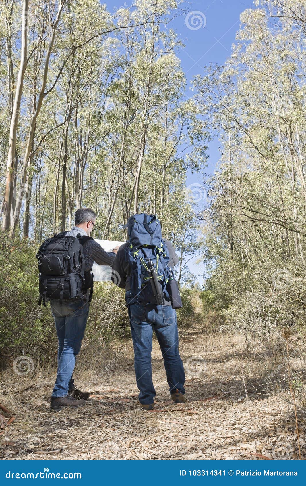 Hikers Lost In The Forest Stock Image Image Of Beard 103314341