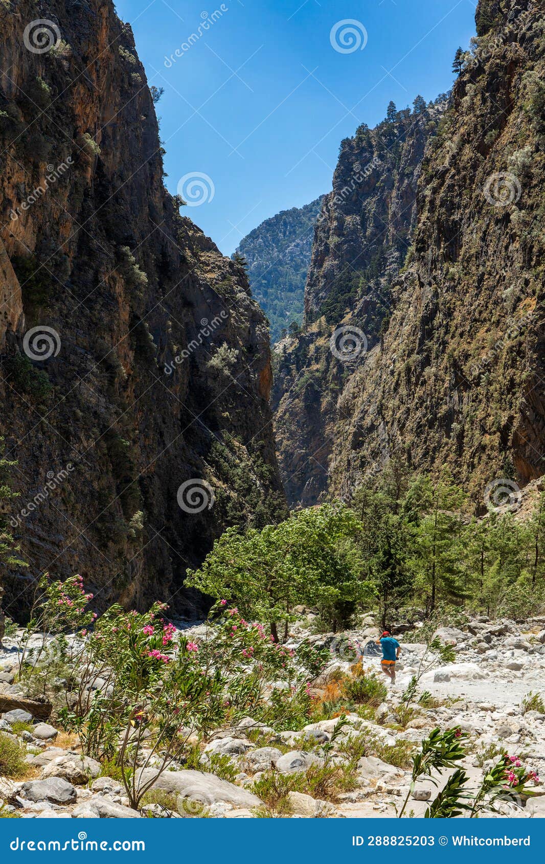 Hikers in a Narrow Gorge with Huge, Towering Cliffs Either Side ...