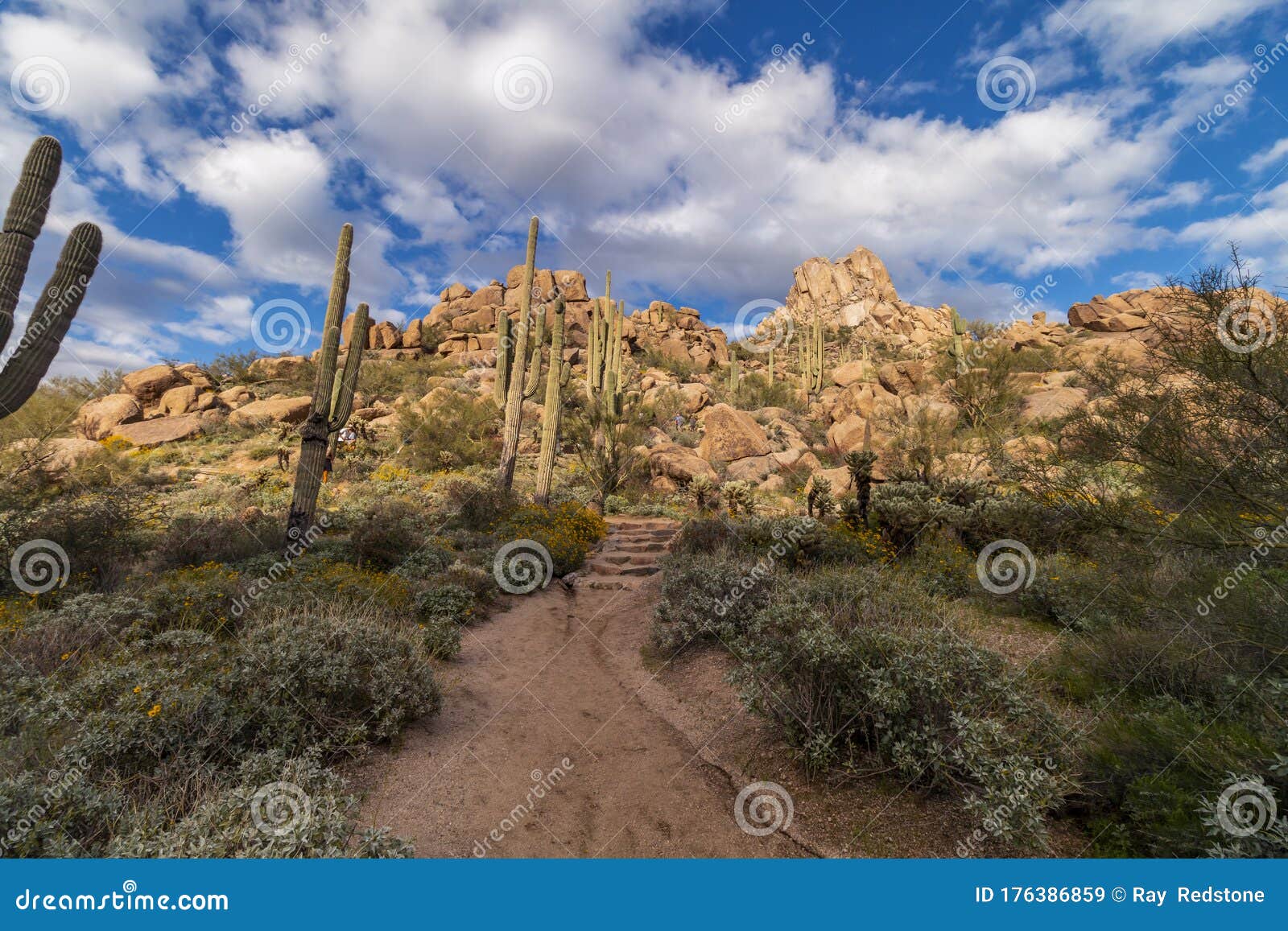 Hikers on Pinnacle Peak Hiking Trail Spring 2020 Stock Image - Image of ...