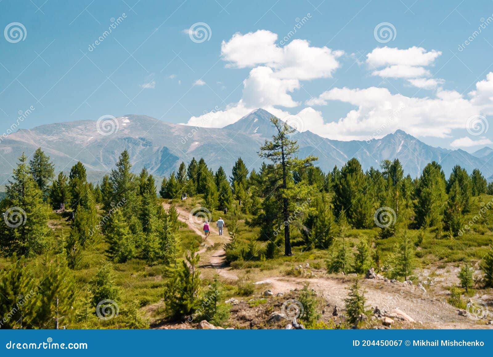 Hikers at the Route through the Forest. Altay Mountains Stock Image ...