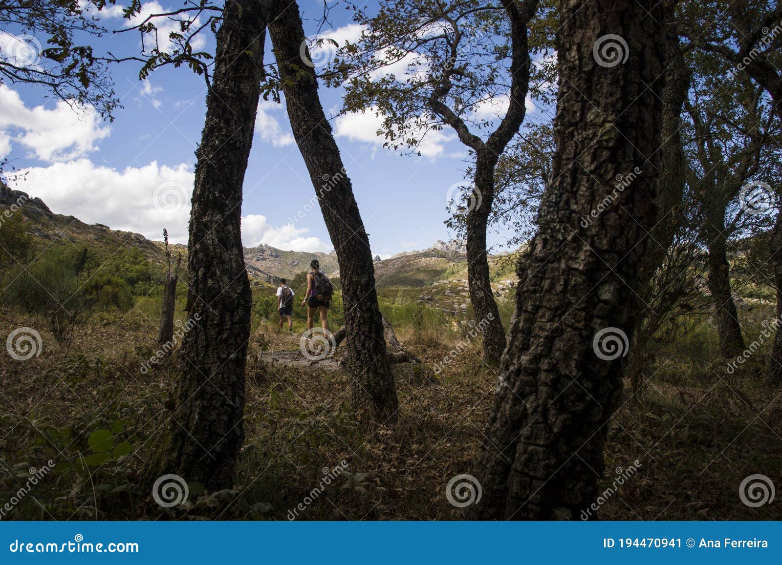 Hikers Silhouette Getting Out of a Forest Stock Image - Image of ...