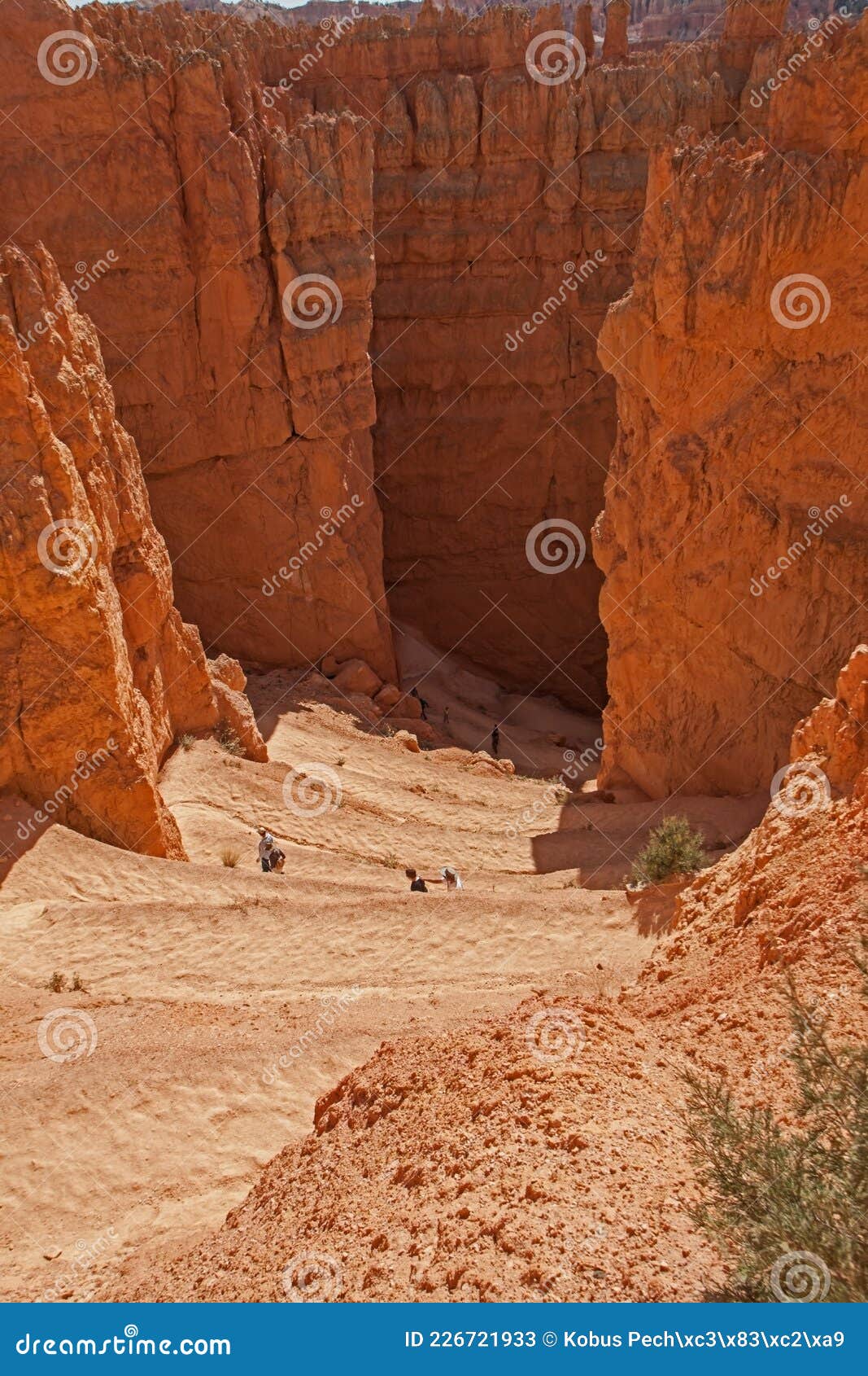 Hikers on the Switchbacks on the Navajo Trail 2483 Stock Image - Image ...