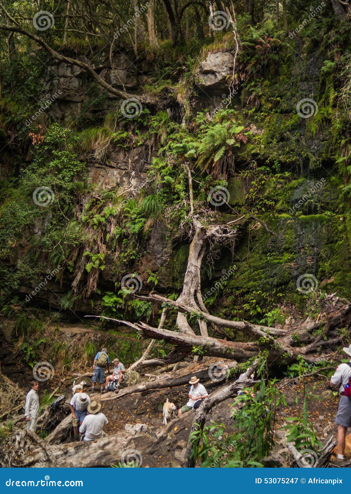 Hikers Take a Rest Stop at a Waterfall Stock Image - Image of format ...