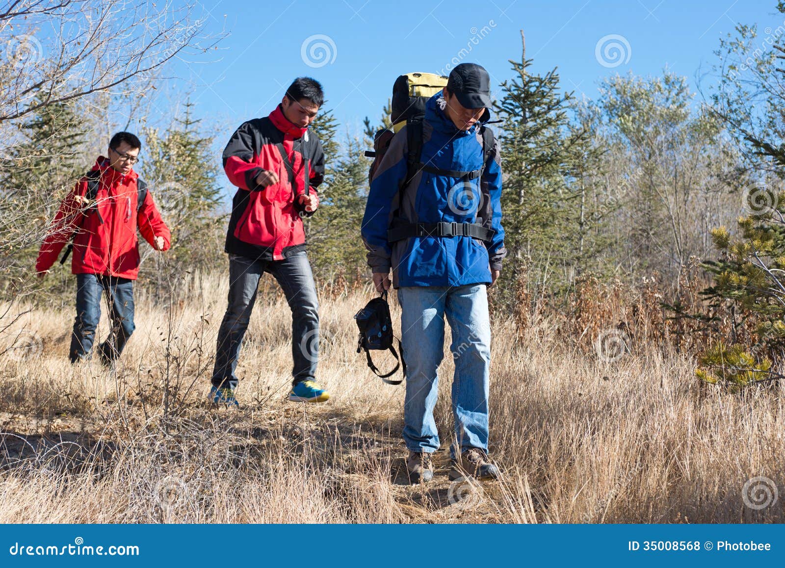 Hikers stock photo. Image of hiker, equipment, adult - 35008568