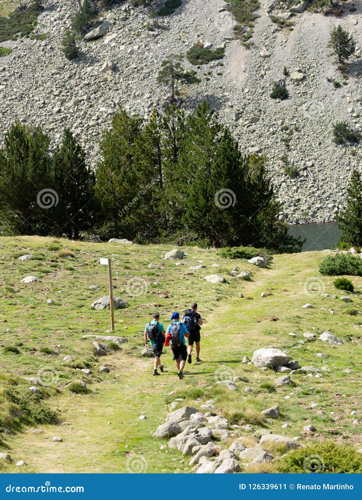 Hikers Walk Along Path in the Forest Editorial Photo - Image of healthy ...