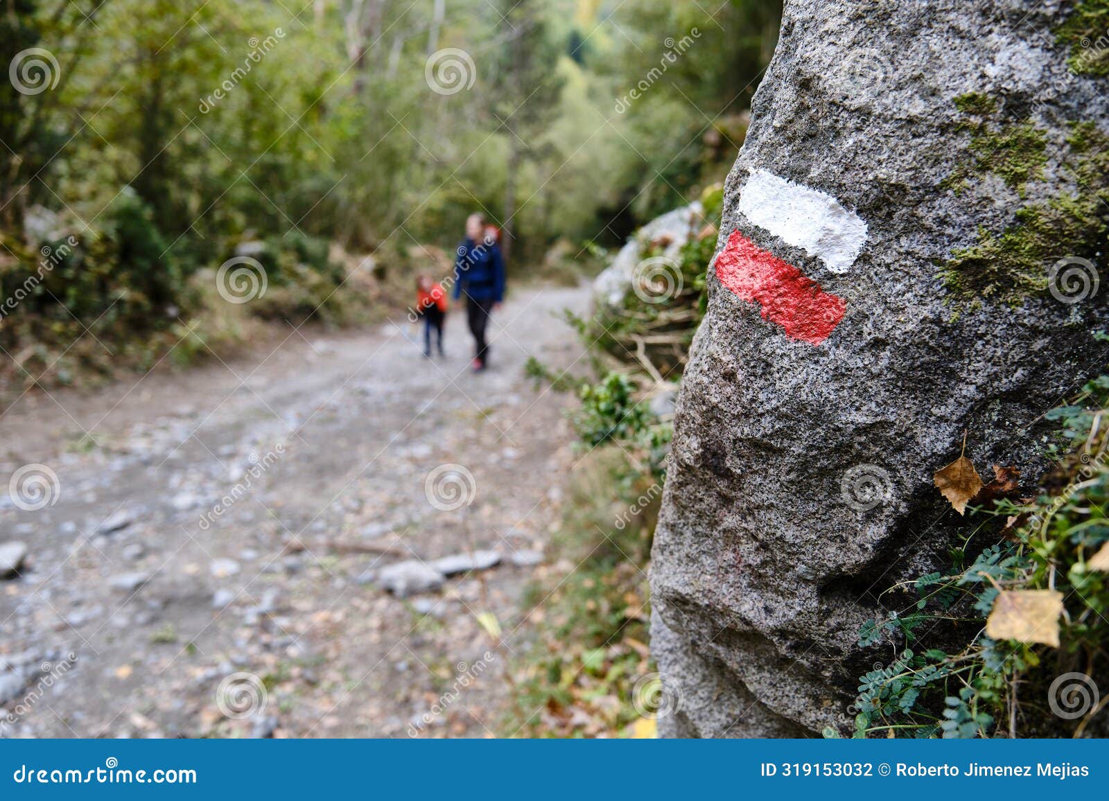 Hikers Walking through Forest by the GR Footpath. Stock Photo - Image ...