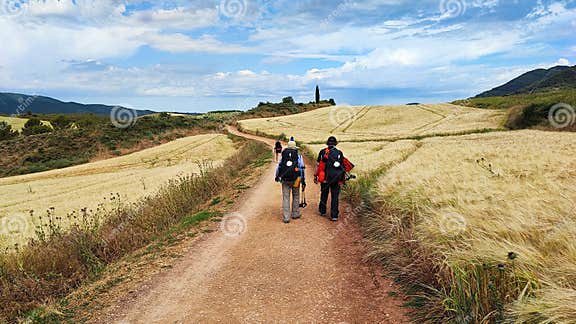 Hikers Walking on the Pathway in a Valley Stock Photo - Image of ...
