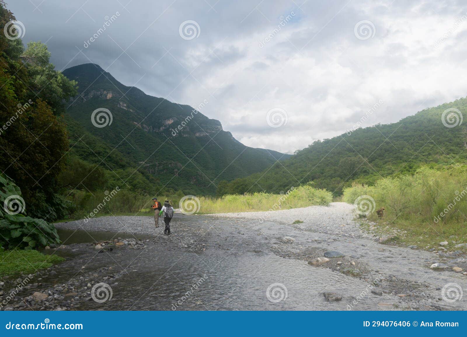 Hikers Walking on Rio Pilon in Monterrey, Mountain Water Stock Photo ...