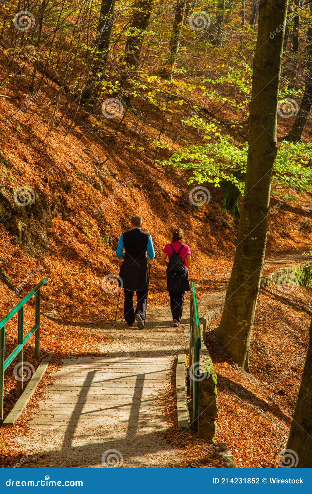 Hikers in the Woods in Autumn Editorial Photography - Image of mountain ...