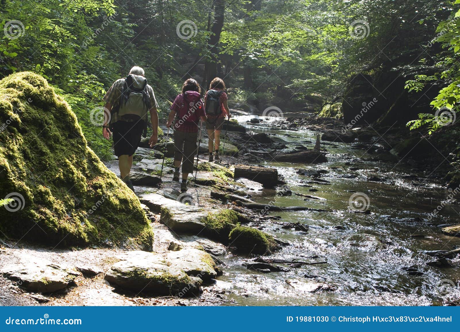 Hiking stock photo. Image of hobbies, backpacking, gorge - 19881030