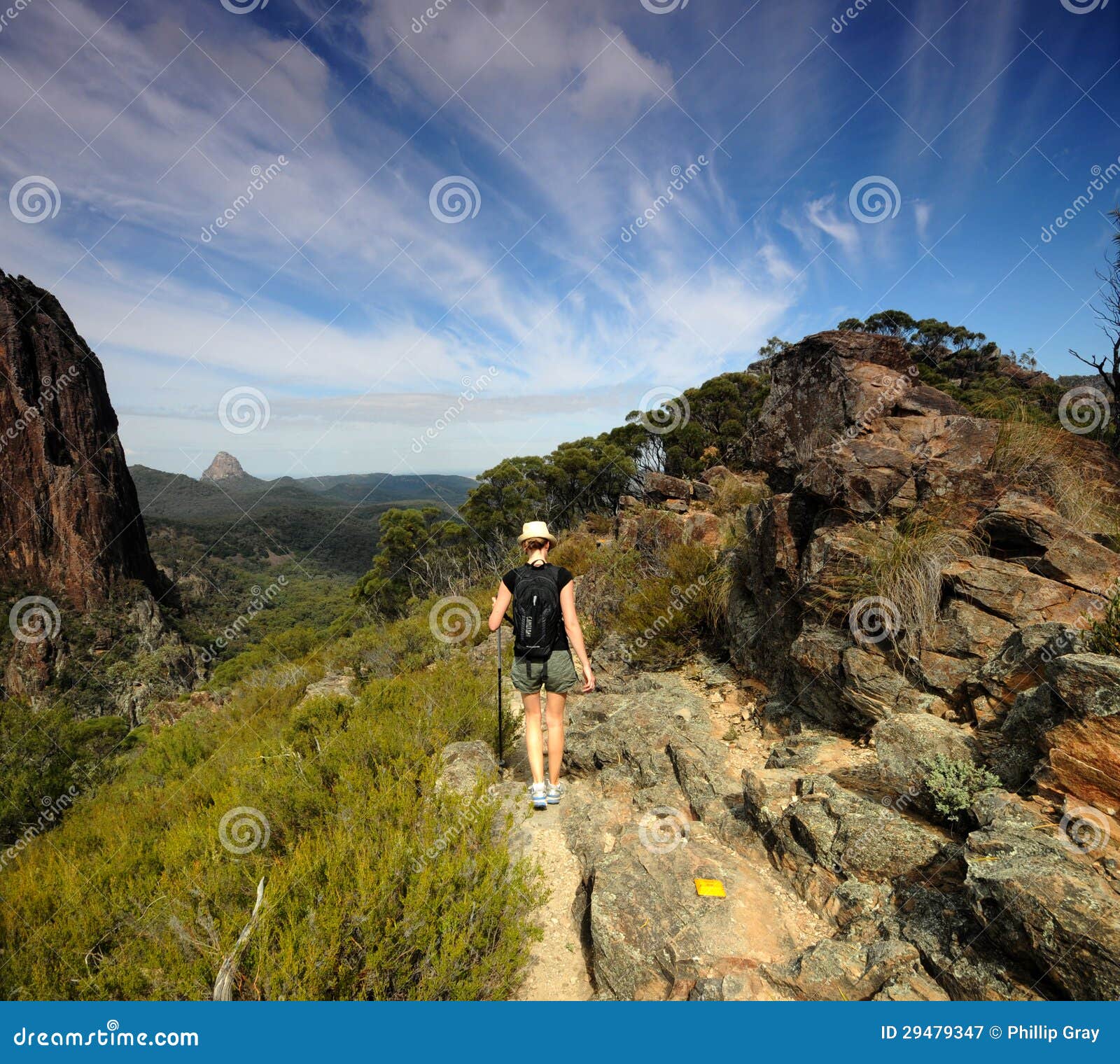 Hiking stock image. Image of woman, trek, bush, hike - 29479347