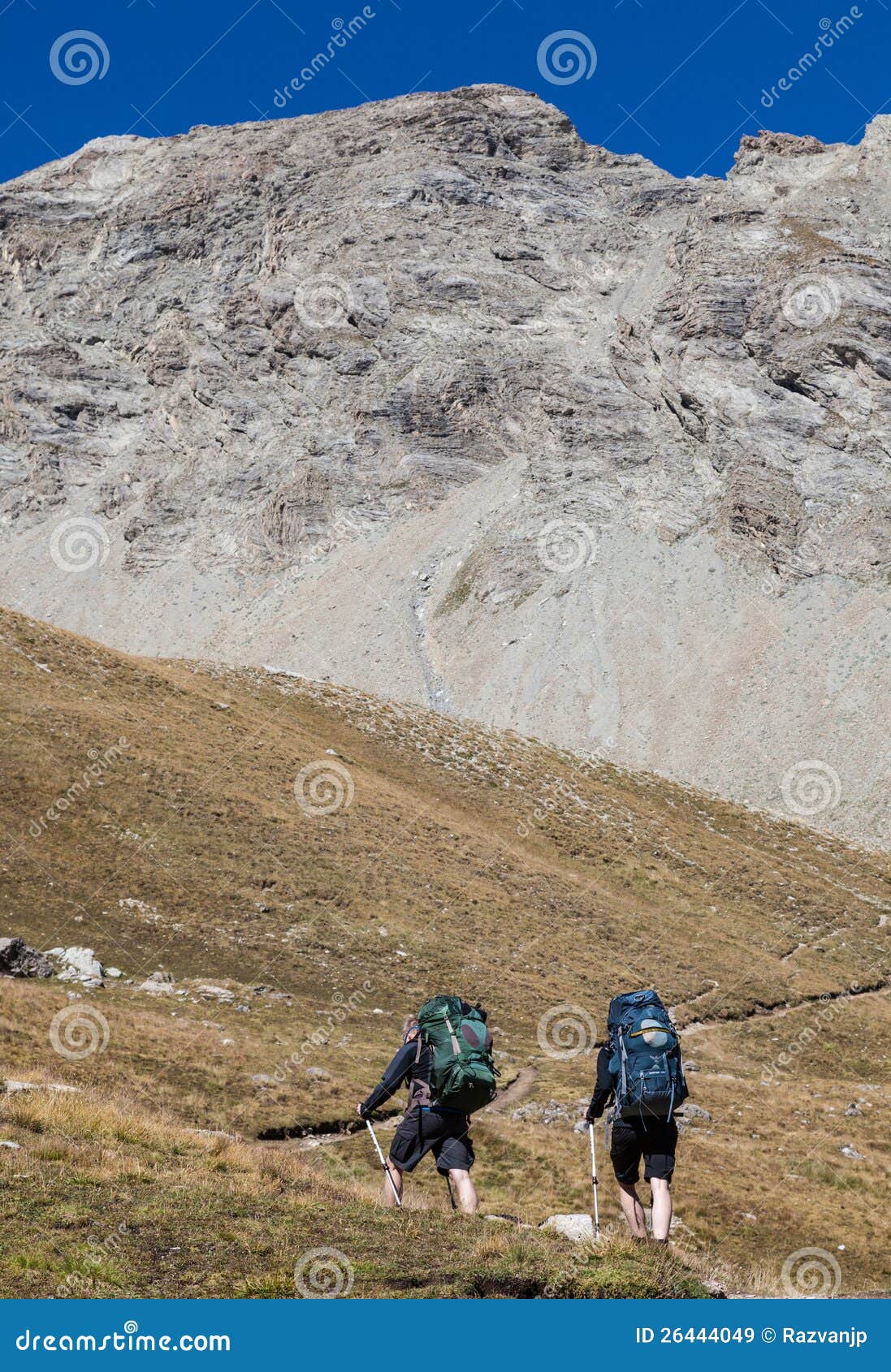 Hiking in the Alps editorial stock image. Image of alpesdehauteprovence ...