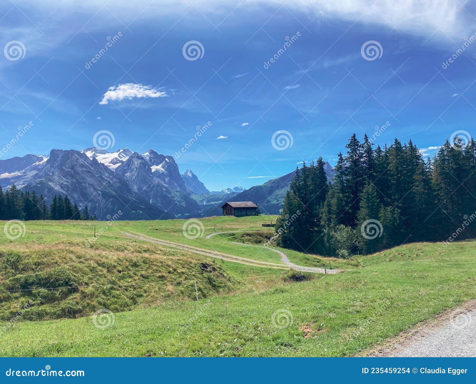 Hiking Area in the Haslital Mountains, Switzerland Stock Photo - Image ...