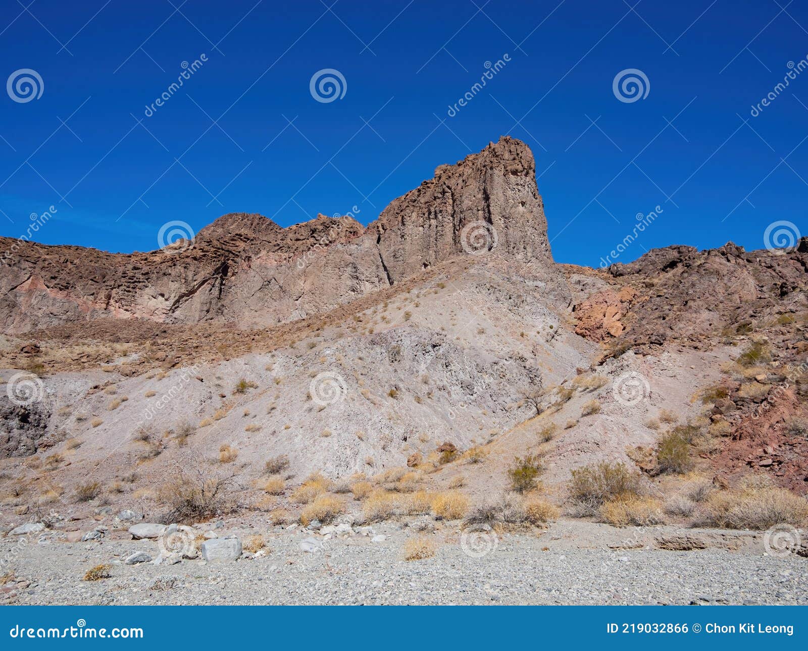 Hiking in the Arizona Hot Spring Trail Stock Photo - Image of spring ...