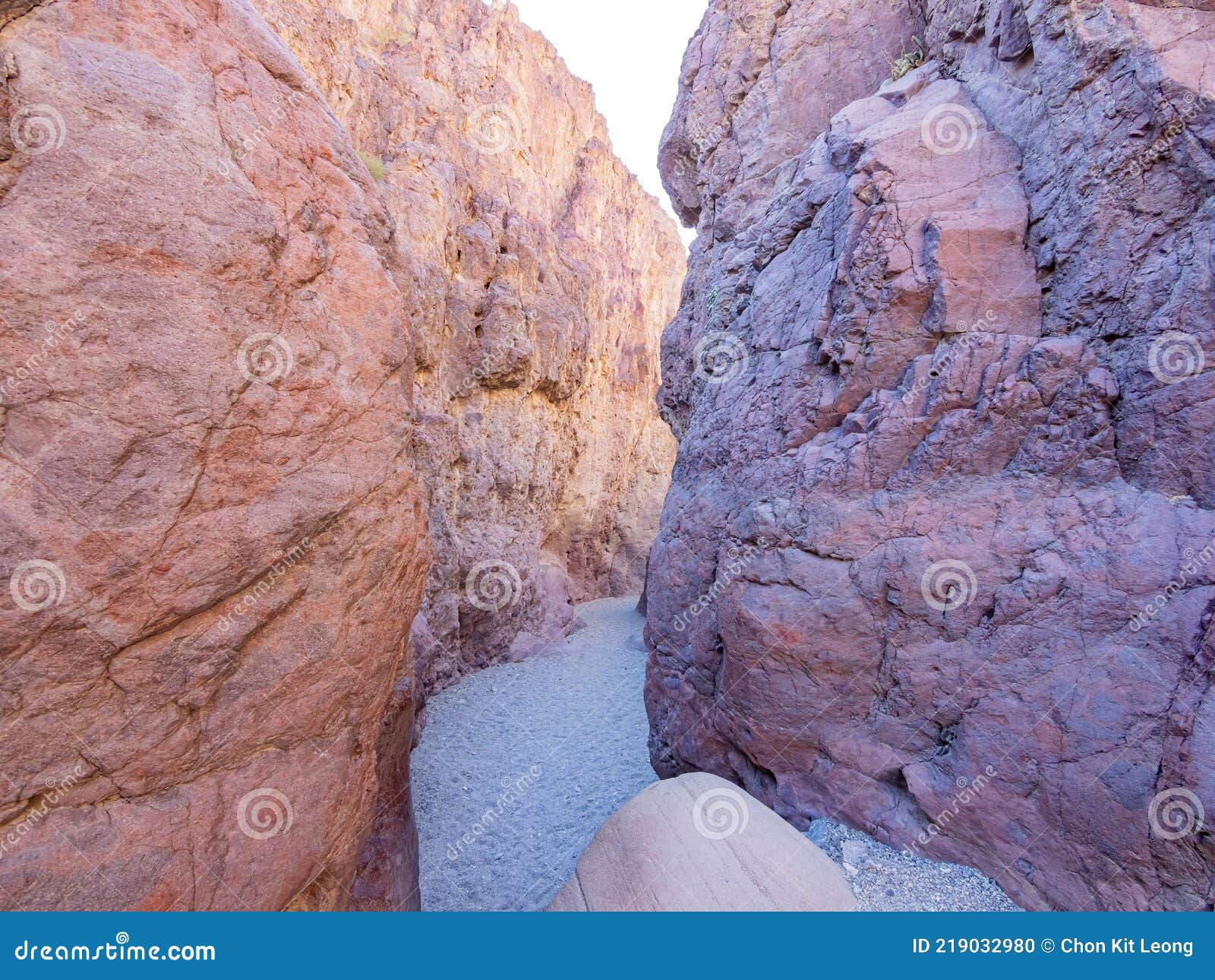 Hiking in the Arizona Hot Spring Trail Stock Photo - Image of sunny ...
