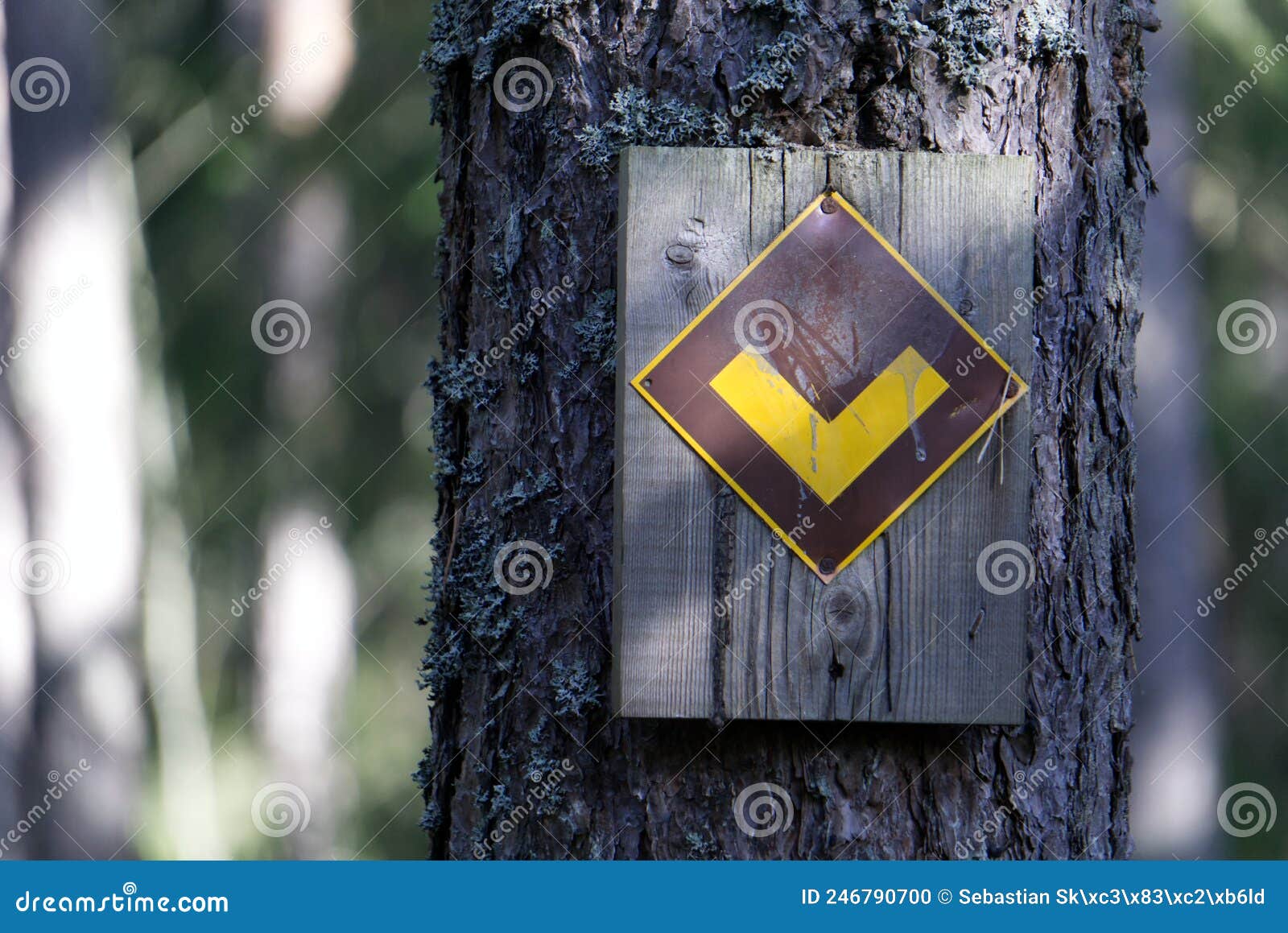 A Hiking Arrow Sign in the Forest Stock Photo - Image of arrow, walk ...