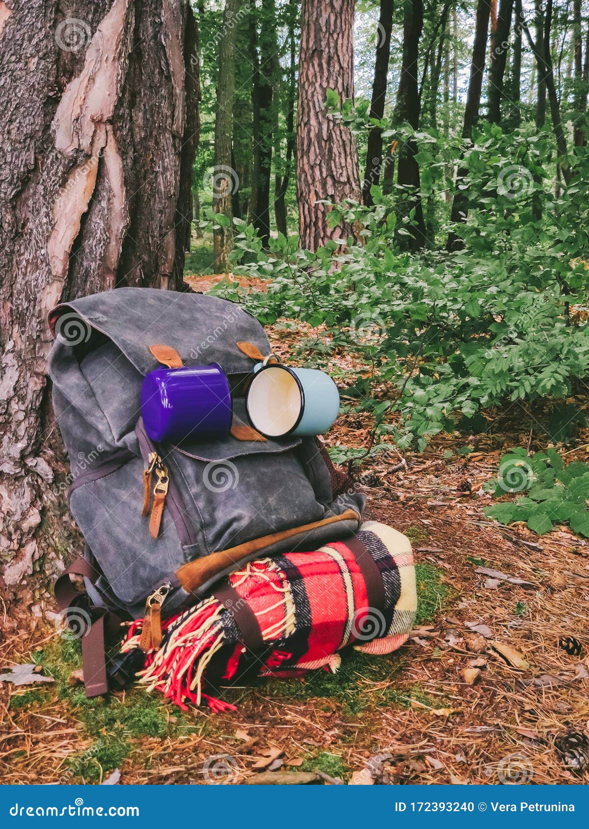Hiking Backpack in Forest on the Ground Stock Photo - Image of ...