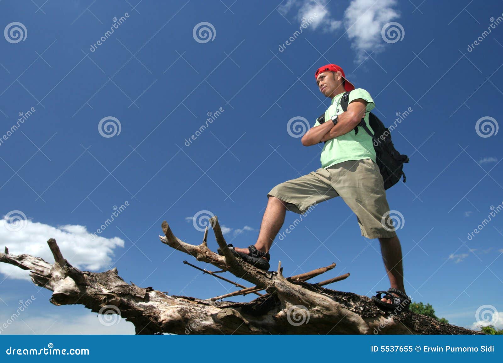 Hiking backpacker stock image. Image of bushwalking, outdoor - 5537655
