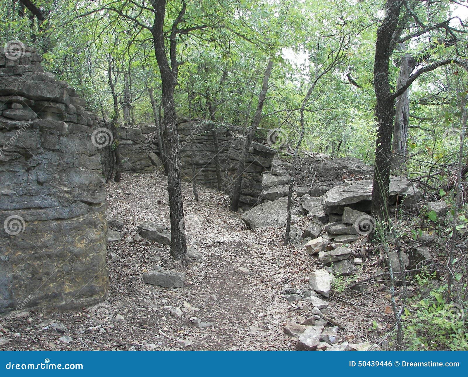 Hiking the Beautiful Texas Trails Stock Photo - Image of texas, hiking ...