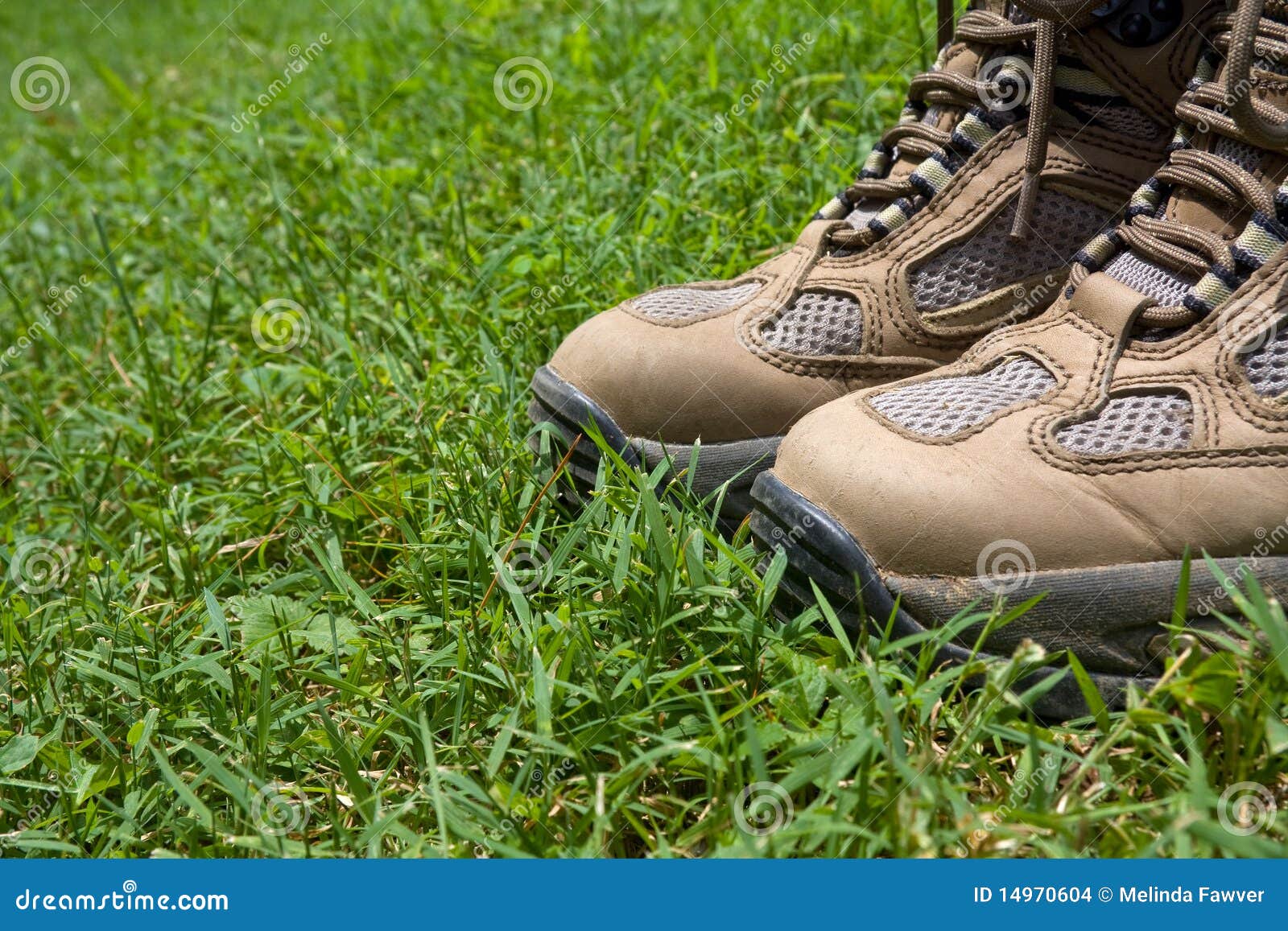 Hiking Boots in Grass stock photo. Image of green, grass - 14970604