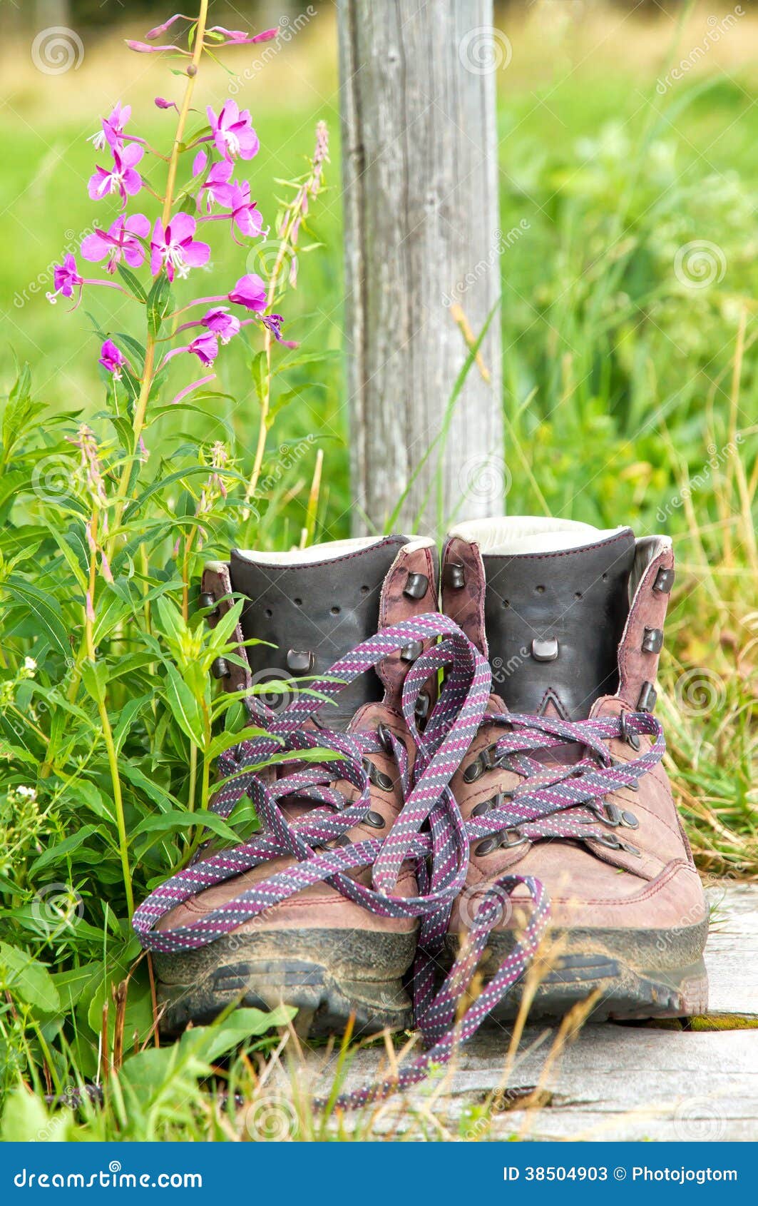 Hiking Boots on a Path in Nature Stock Image - Image of journey ...