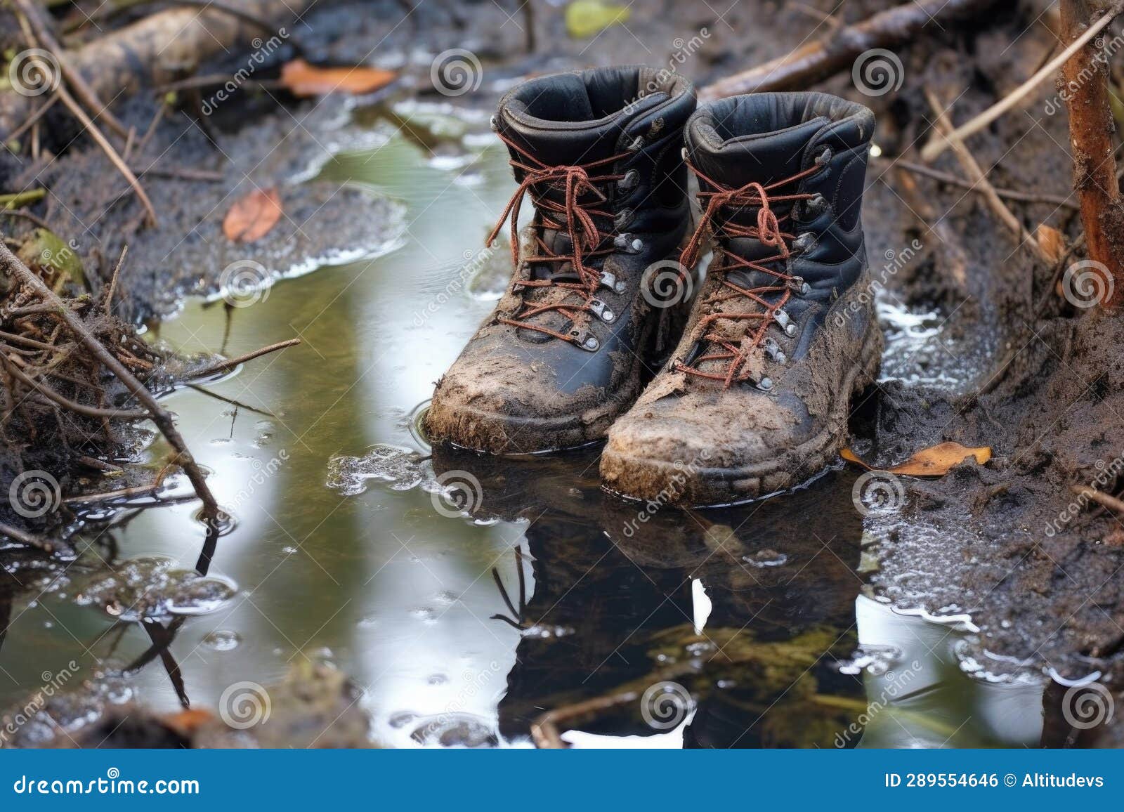 Hiking Boots Sinking in Deep Mud Puddle Stock Photo - Image of footwear ...