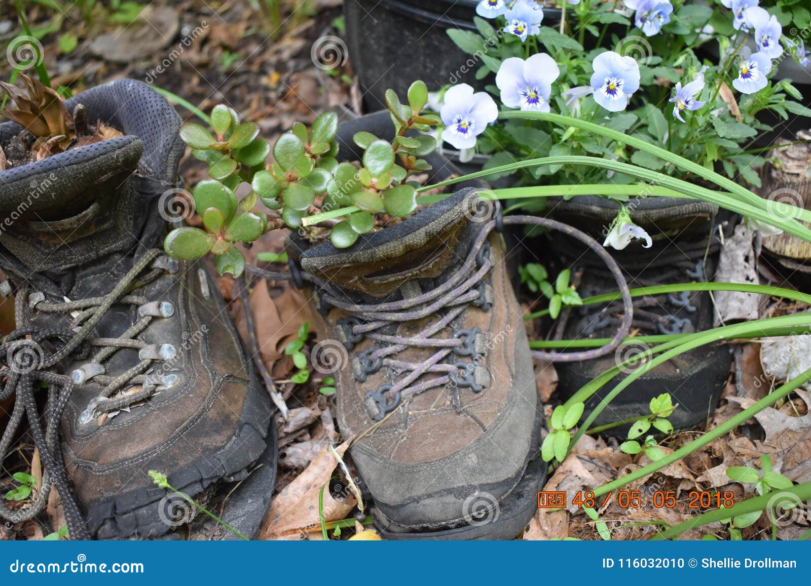 Hiking boots stock photo. Image of boots, repurposed - 116032010