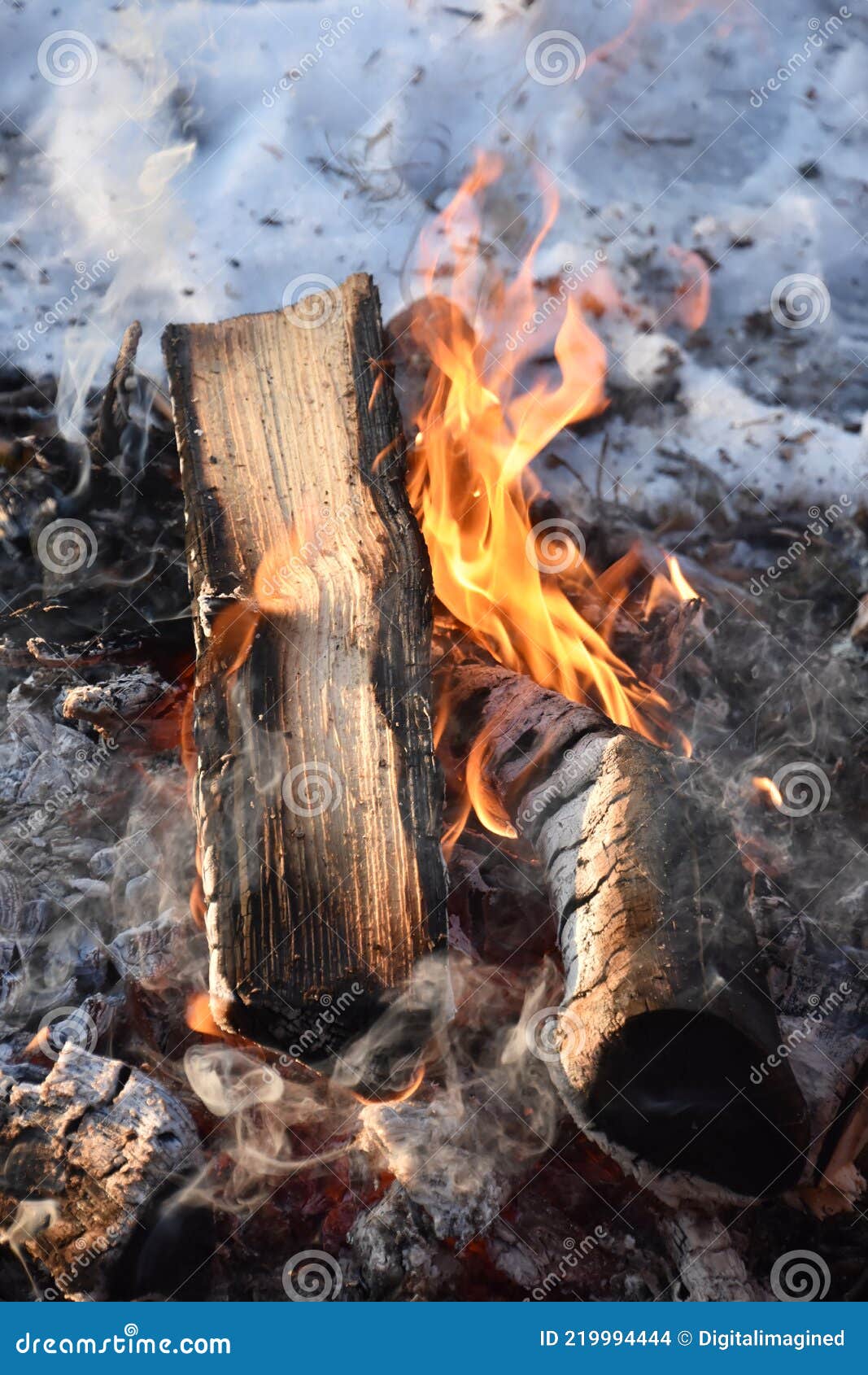 Winter Campfire Burning Witn Orange Flames Outdoors Stock Photo - Image ...