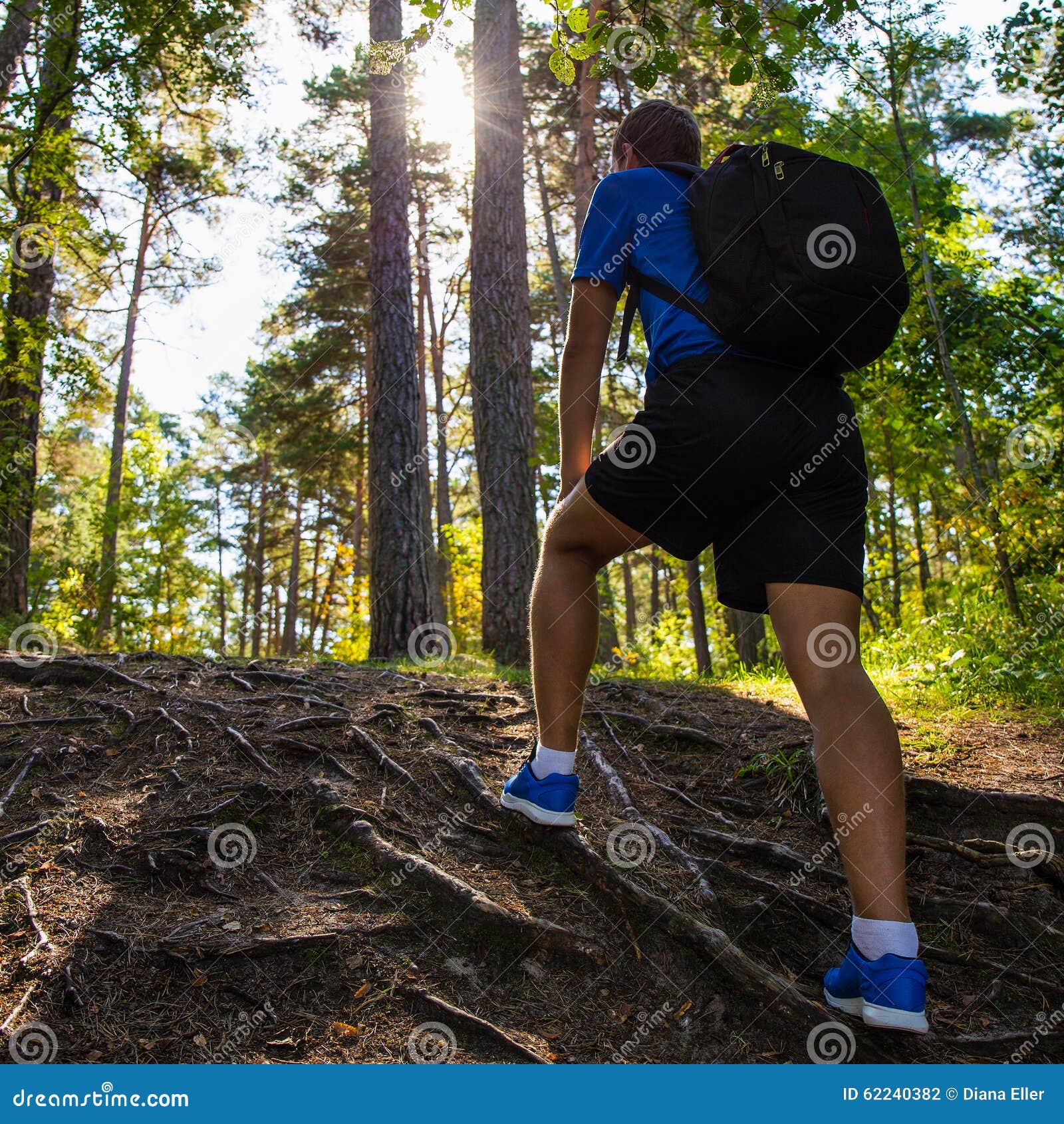 Hiking Concept - Back View of Male Hiker with Backpack in Forest Stock ...