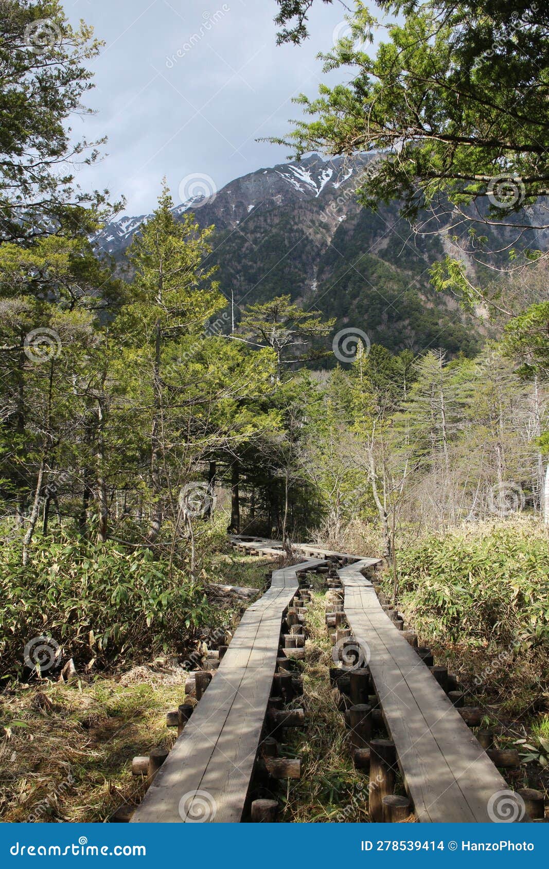 Hiking Course in Dakesawa Marsh, Kamikochi, Japan Stock Photo - Image ...