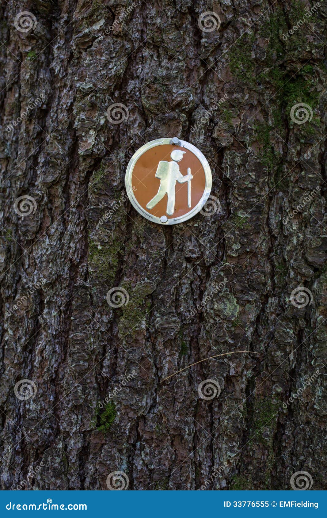 Hiking Directional Sign on Tree Stock Image - Image of board, path ...