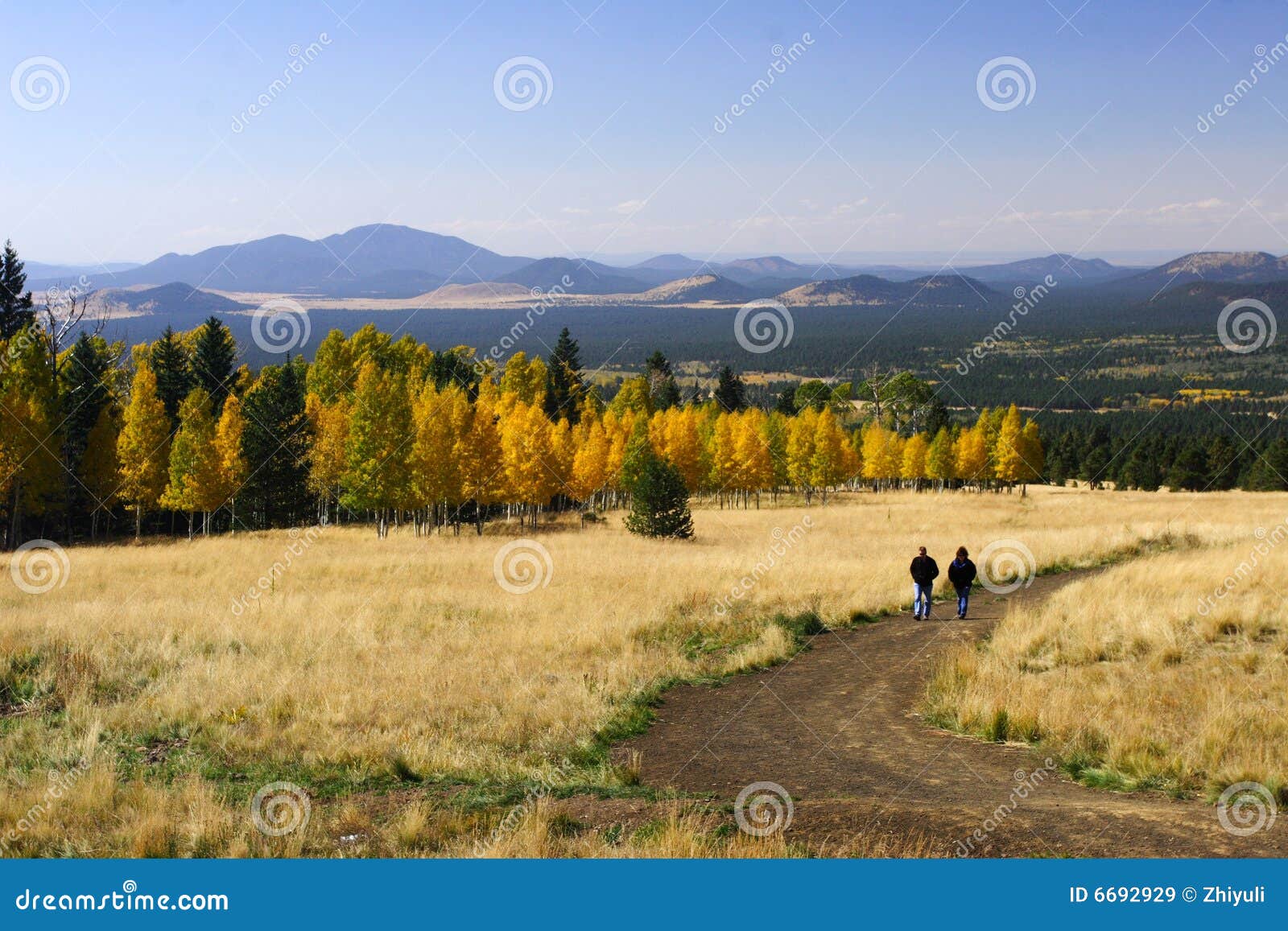 Hiking in Fall Color Flagstaff Arizona Stock Image - Image of mountain ...