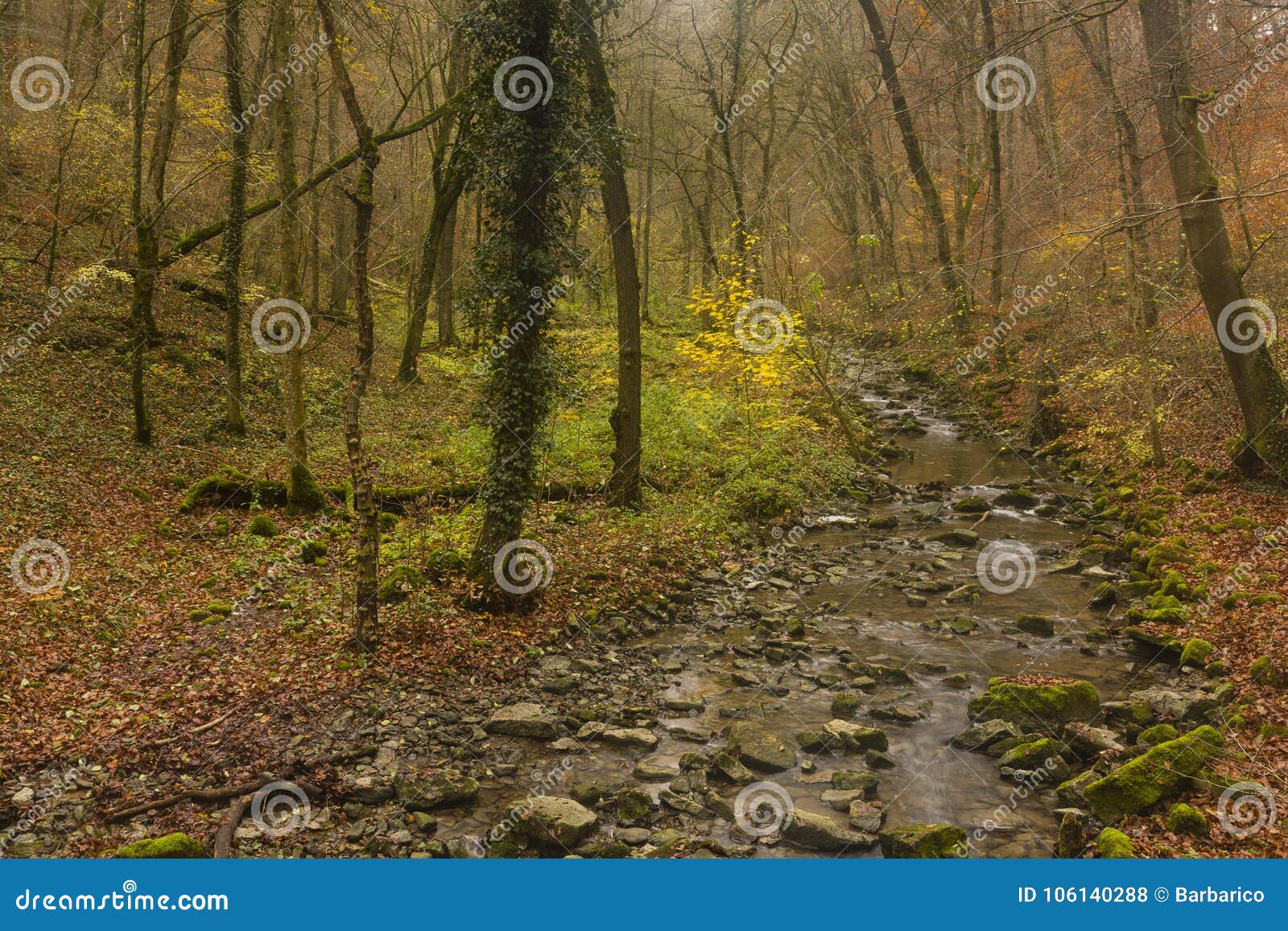 Hiking the GR5 Trail in the Benelux Stock Photo - Image of orange ...