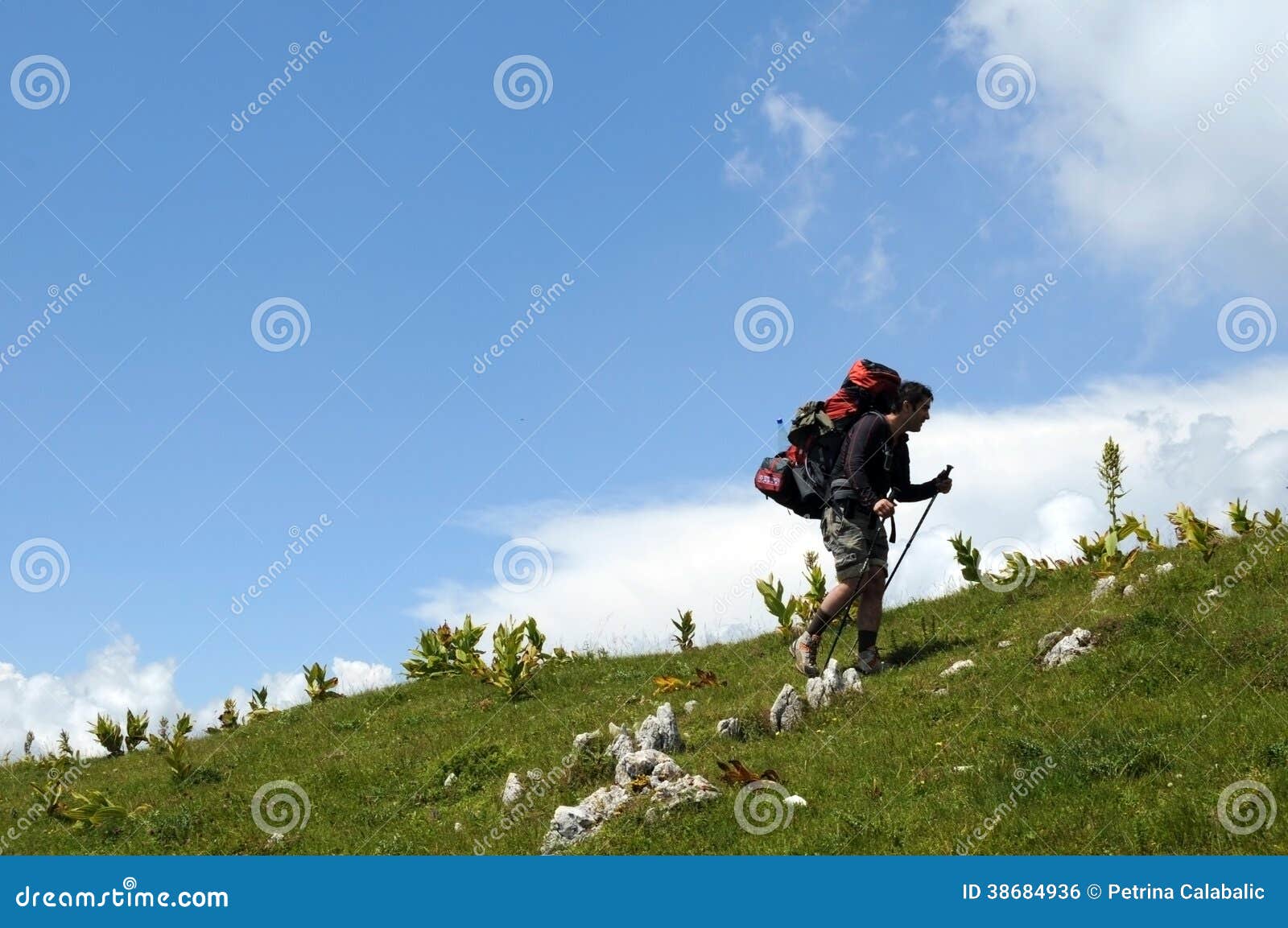 Hiking stock photo. Image of strong, climbing, trekkers - 38684936