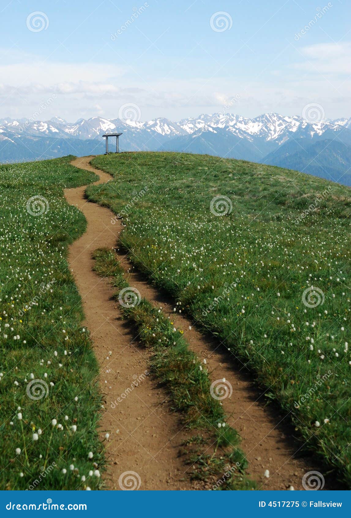 Hiking on hurricane ridge stock image. Image of washington - 4517275