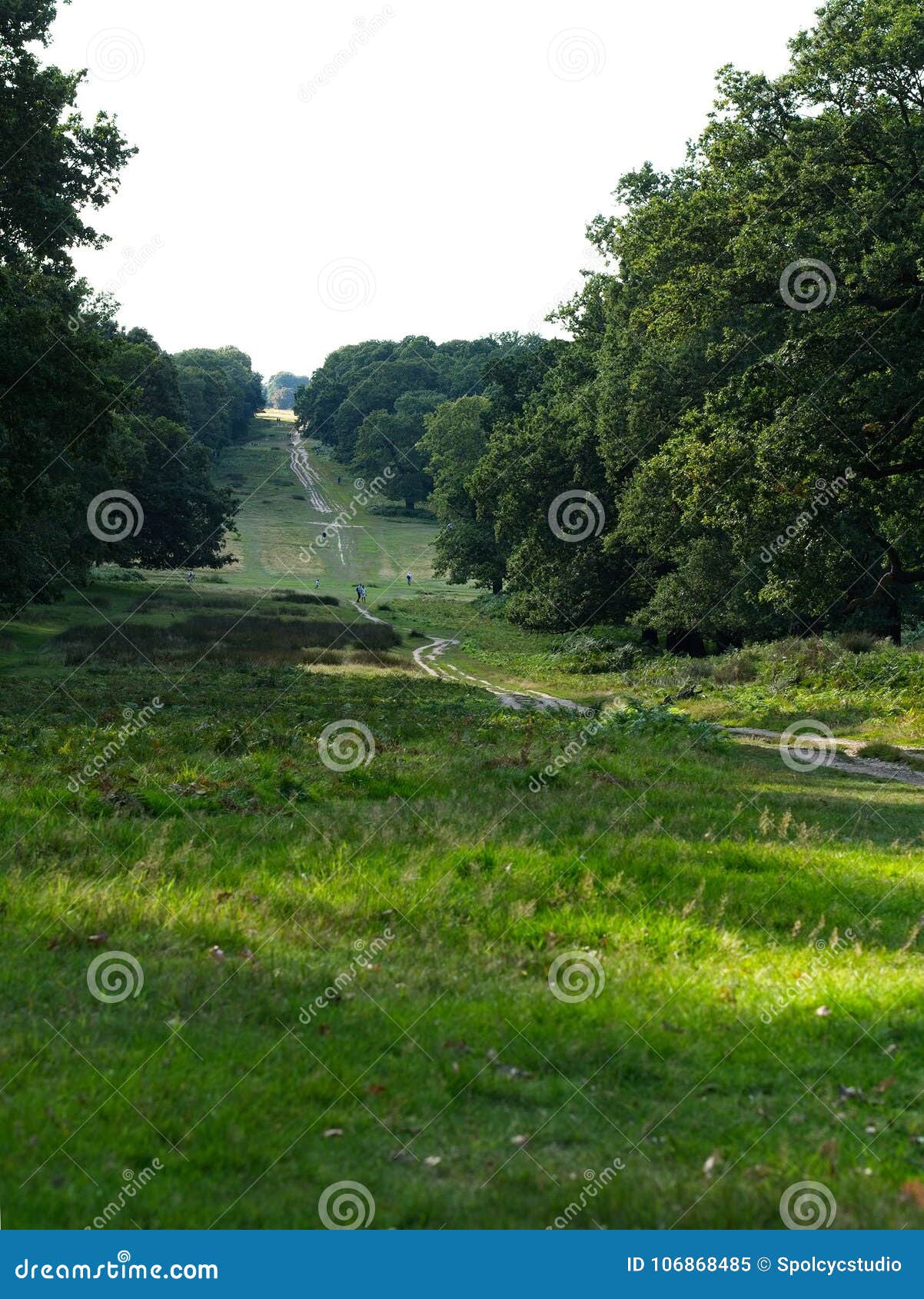 Hiking Image with Trees, Grass, and a Long Footpath Stock Image - Image ...