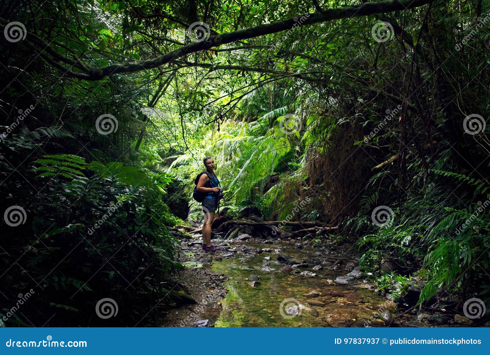 Hiking Ishikawa-Dake Picture. Image: 97837937