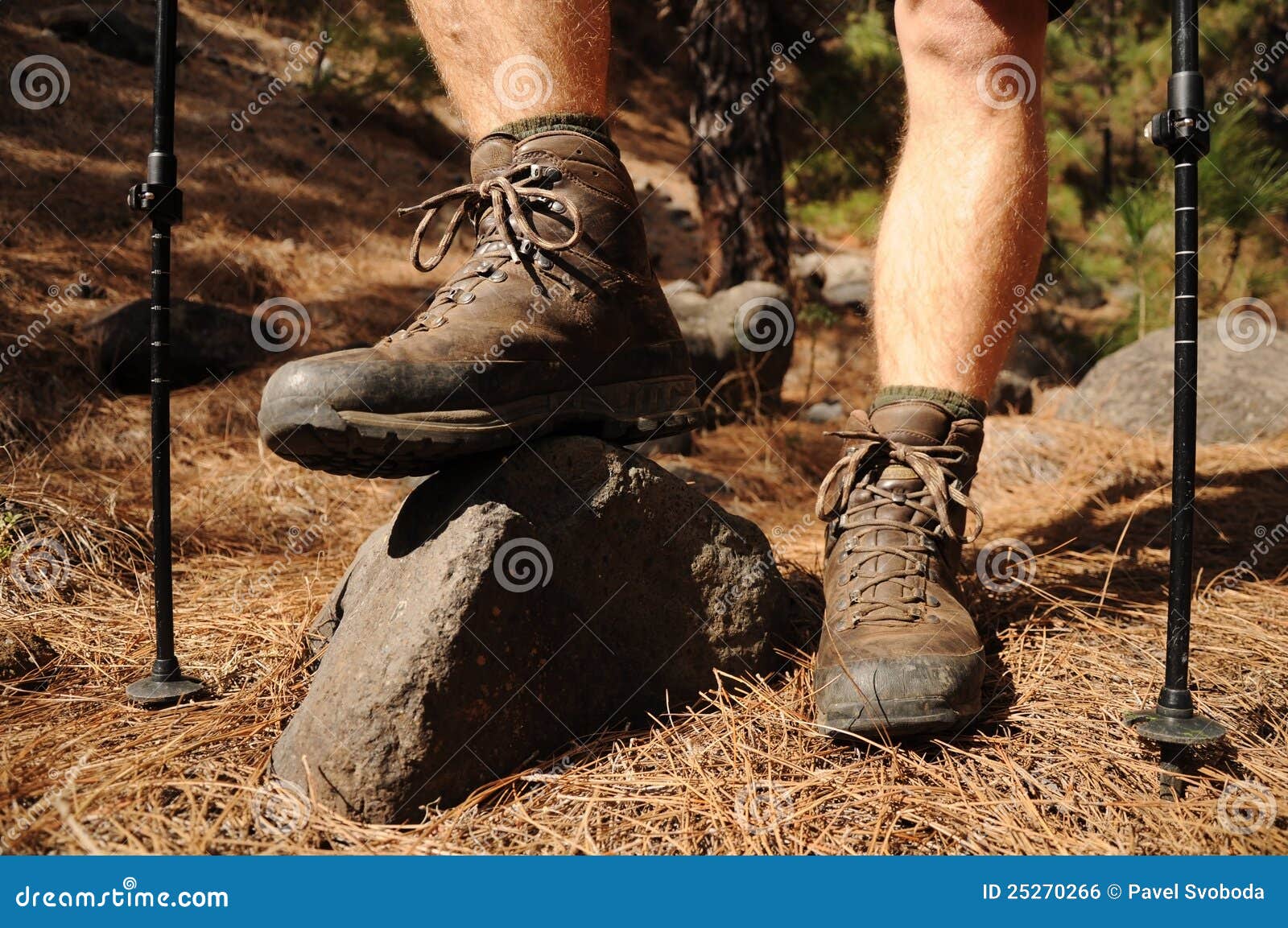 Hiking Man with Trekking Boots on the Trail Stock Photo - Image of shoe ...
