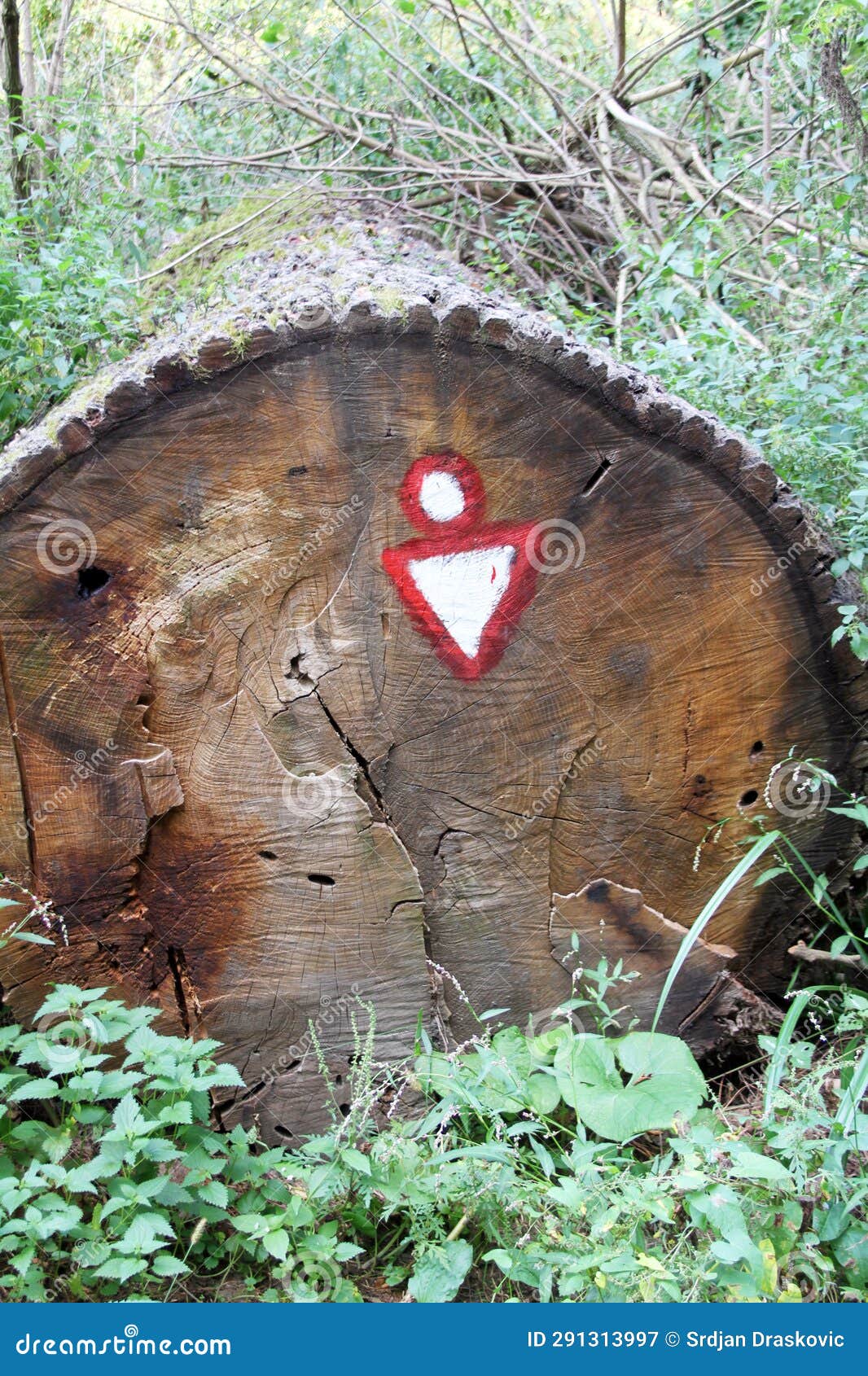 Hiking markers trail sign stock image. Image of explore - 291313997
