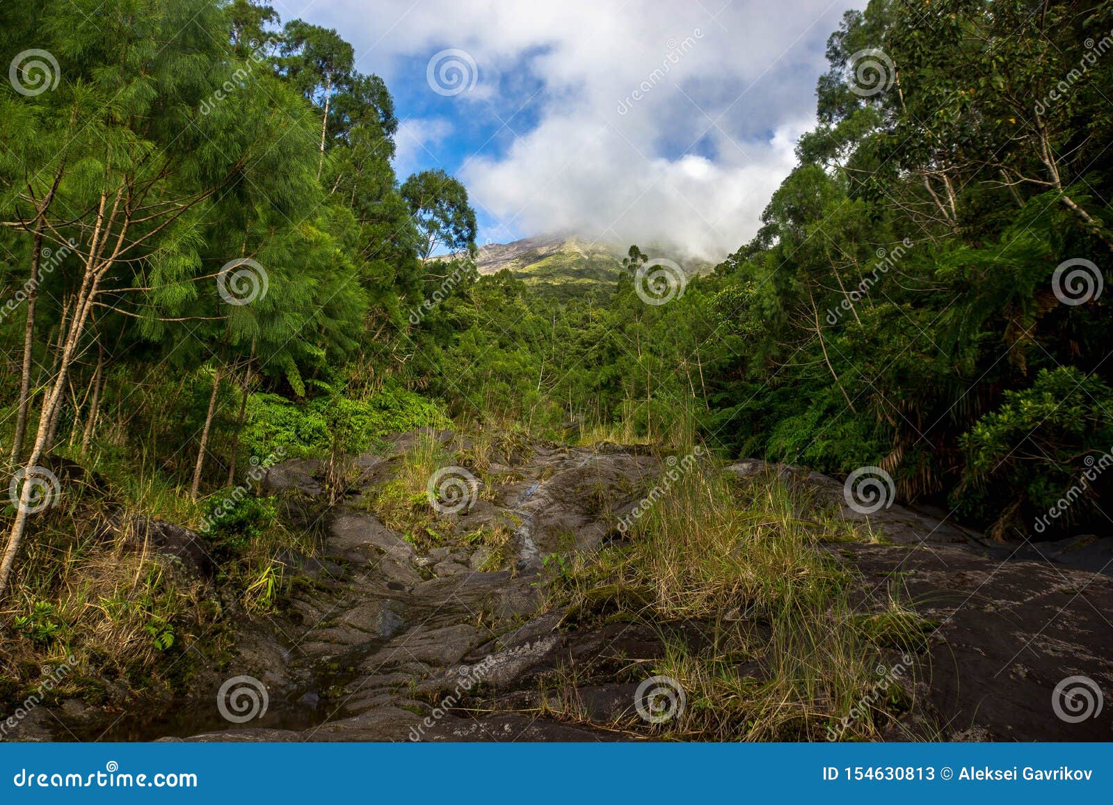 Hiking on the Mayon Volcano Stock Image - Image of paddy, lava: 154630813