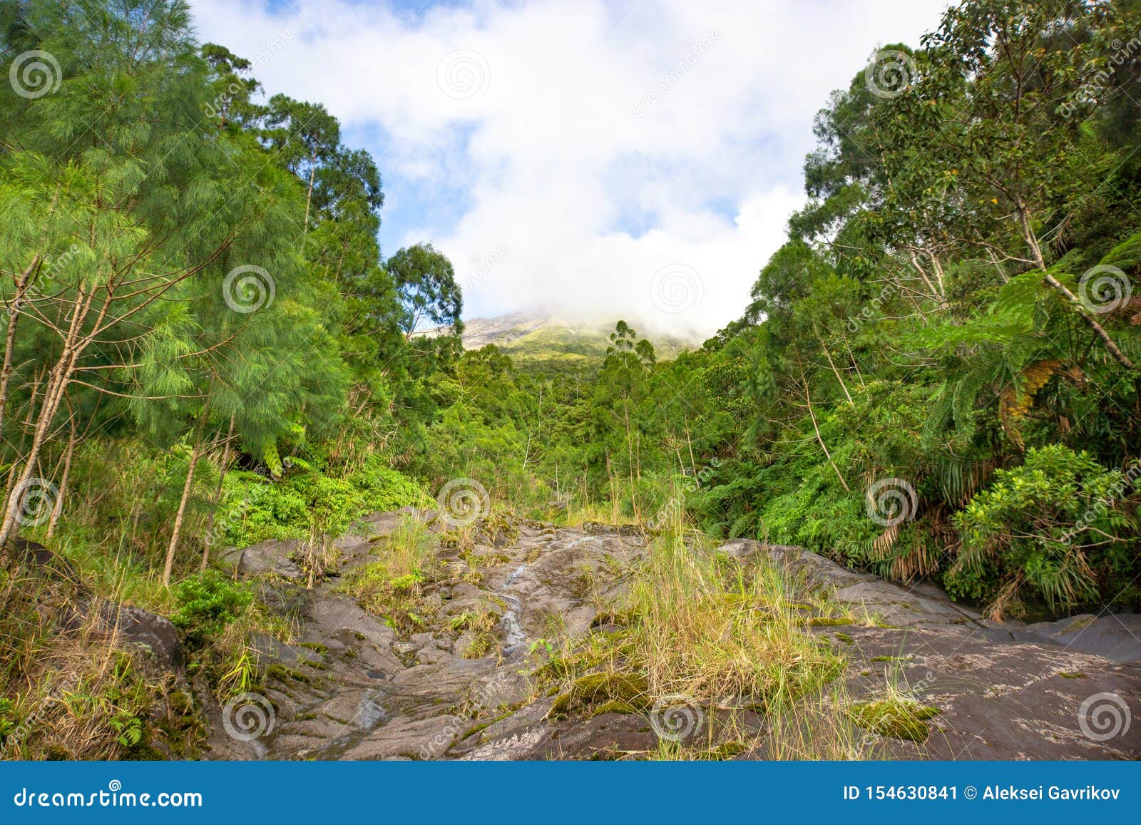 Hiking on the Mayon Volcano Stock Image - Image of hiking, mount: 154630841