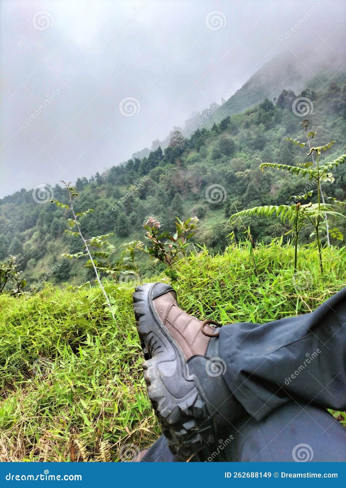 Hiking Mountain with My Friends Stock Image - Image of mountain, java ...