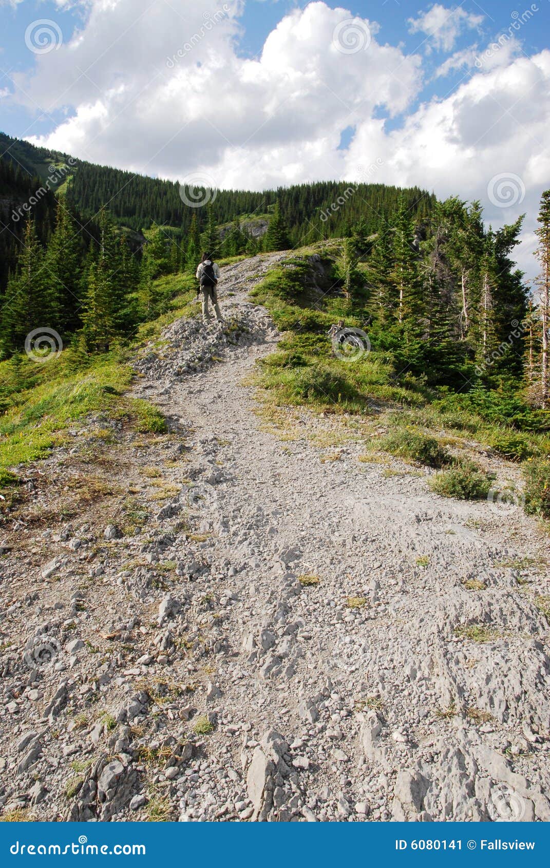 Hiking on mountain ridge stock image. Image of forest - 6080141